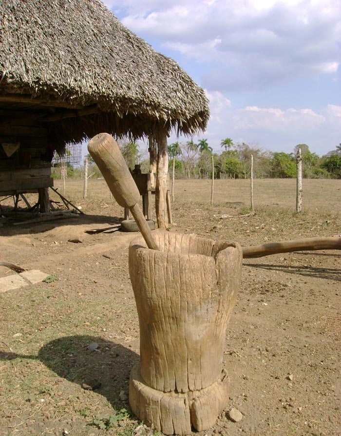 Pilón de madera: añeja tradición campesina – La Voz de Cabaiguán